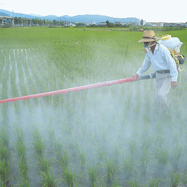 Insecticides – Goldstar Products